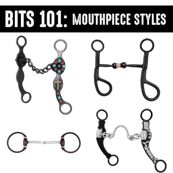 Bits 101 - Mouthpiece Styles - Partrade