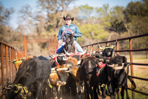 The Power of the Bit: A Deep Dive Into Tyler Magnus' Collection - Partrade