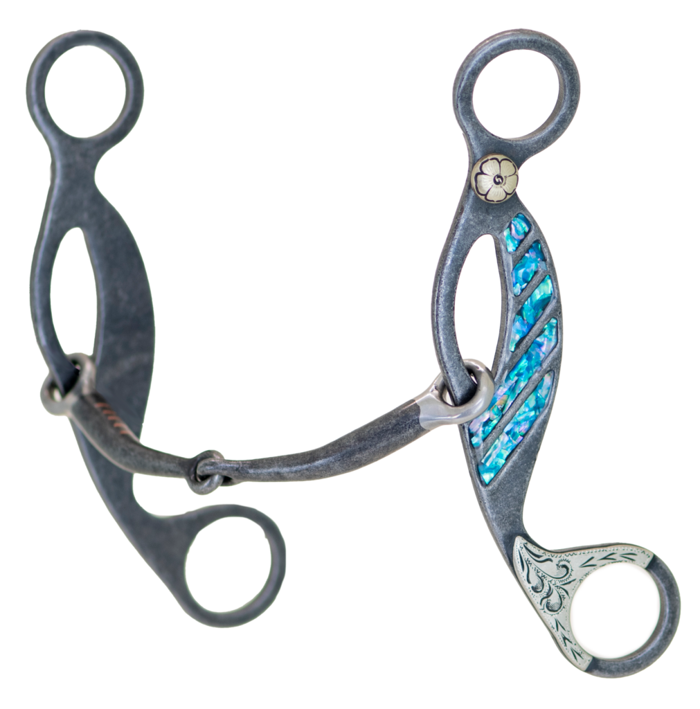 Turquoise Smooth Snaffle Gag Bit - Partrade